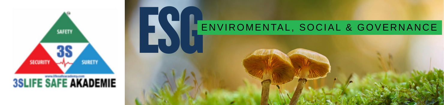 3S Distance Learning Platform